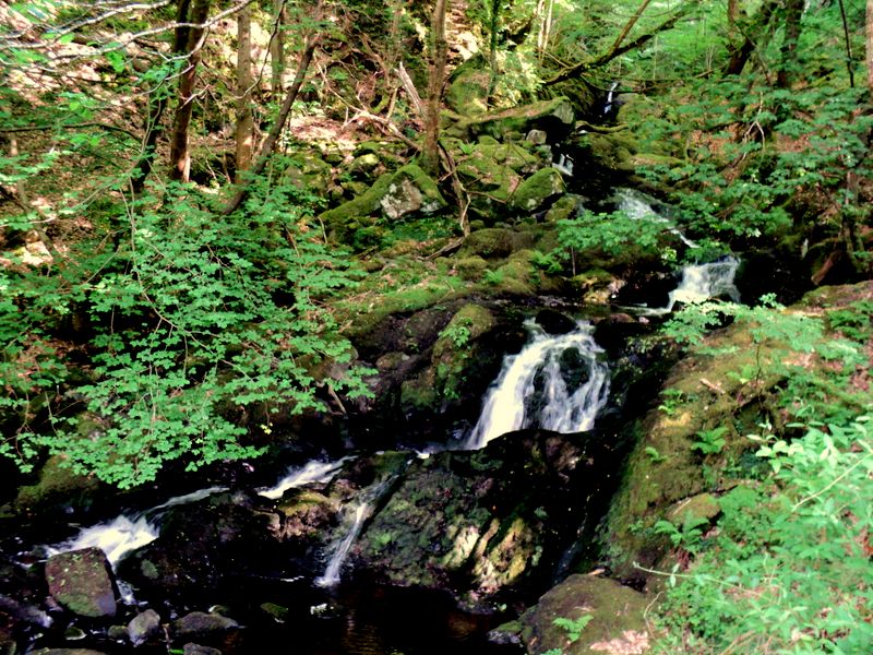 Cambrian Way Stage 15